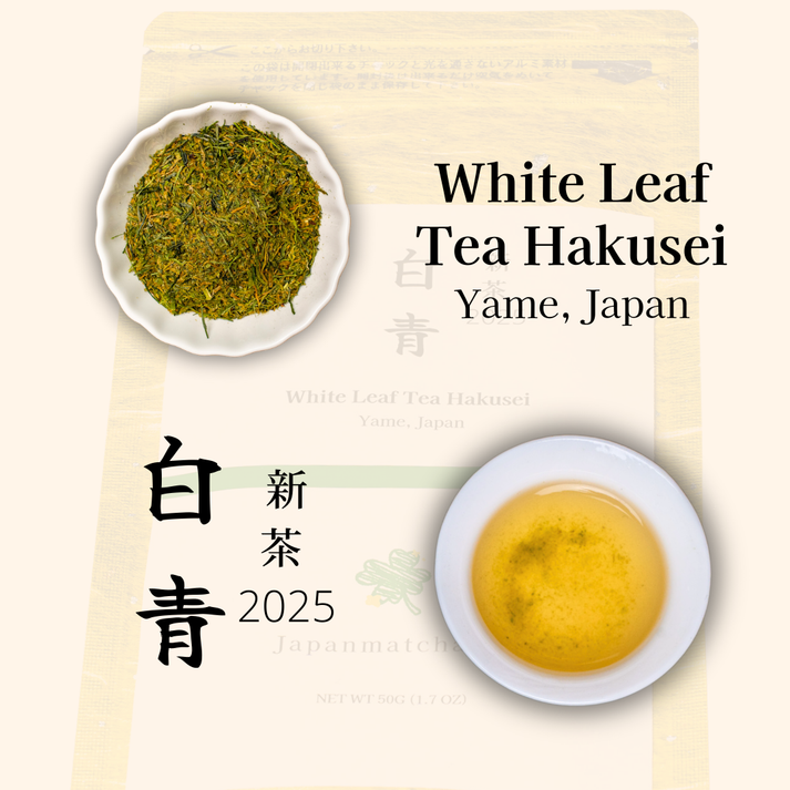 2025 White Leaf Tea (Rare Tea)(S Grade) – Japanmatchaph